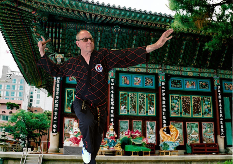 EUROPEAN HAPKIDO ALLIANCE - Techniques